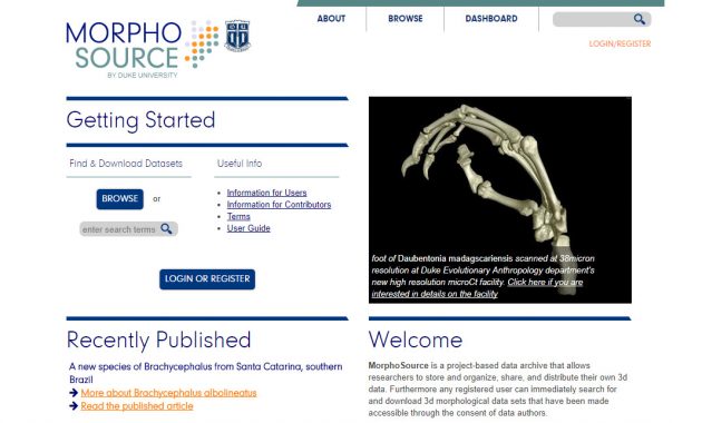 morphosource-free-3d-print-models-4 | 3DP id.arts