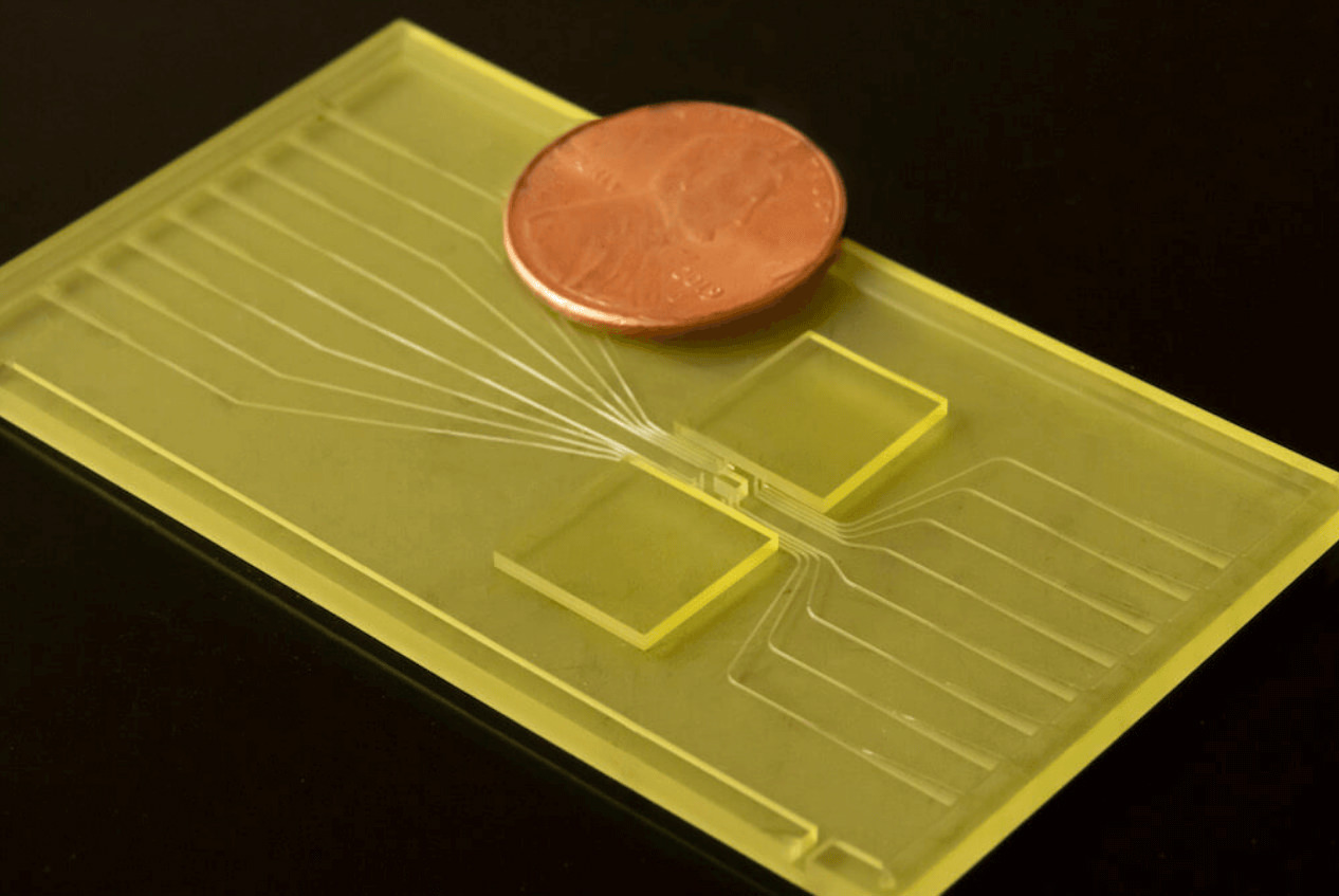 BMF 最新ケーススタディVol.1を発表 | 3DP id.arts